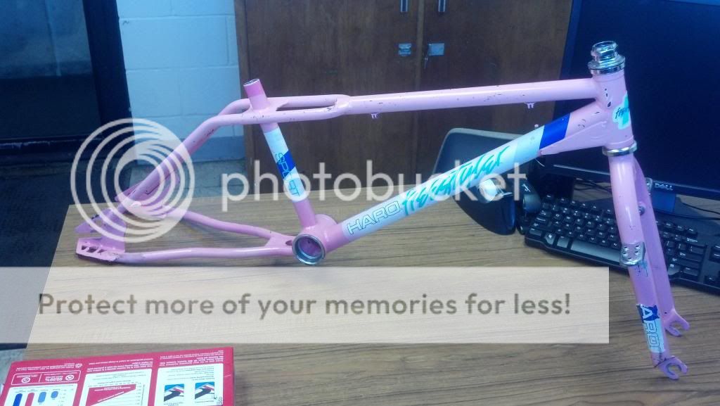 Official Pink '85 Haro Master/Sport thread. Lets get a count ...