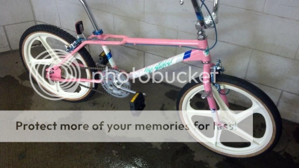 Official Pink '85 Haro Master/Sport thread. Lets get a count ...