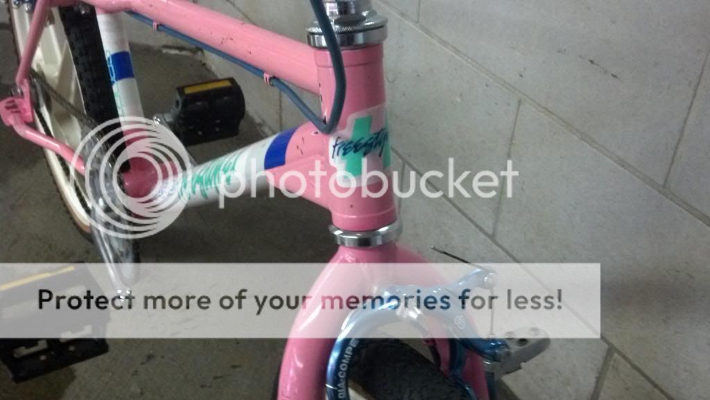Official Pink '85 Haro Master/Sport thread. Lets get a count ...