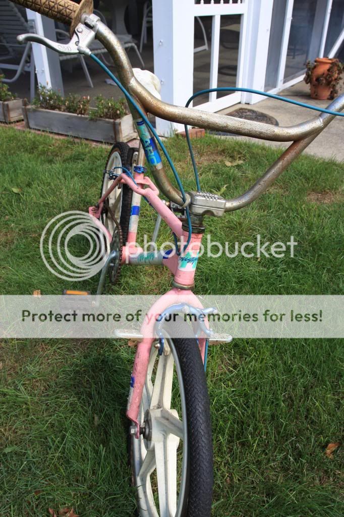 Official Pink '85 Haro Master/Sport thread. Lets get a count ...