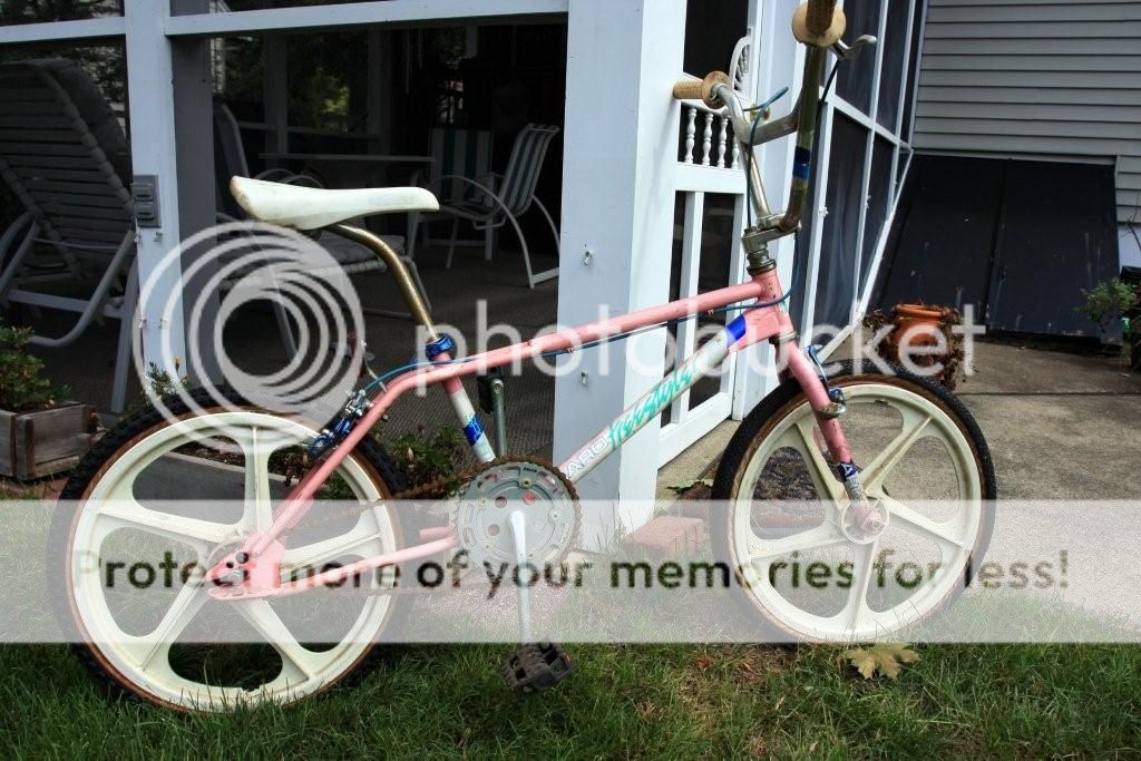 Official Pink '85 Haro Master/Sport thread. Lets get a count ...