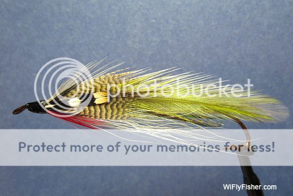 » Topic: Rangeley-style feather wing streamers